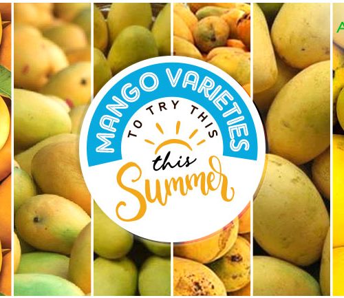 Top Benefits of consuming Frozen Mangoes - Aam Walla